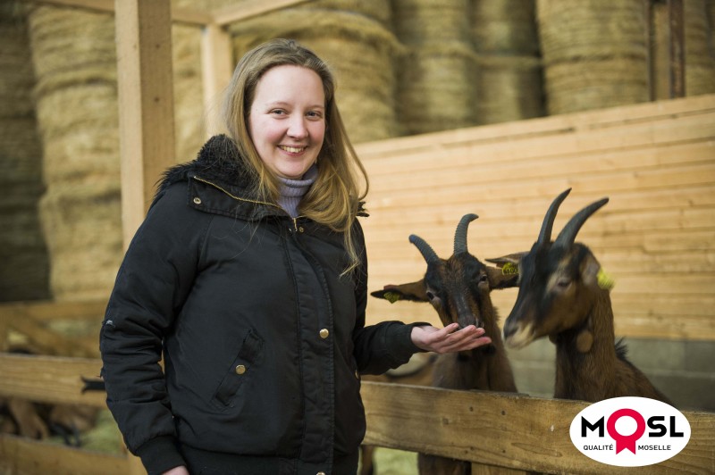 Sorties / Exposition : Visite de la Chèvrerie de l'Est à Metzing ...