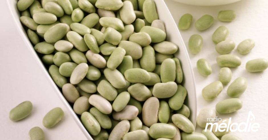 L'expression "être un fayot" - Radio Mélodie