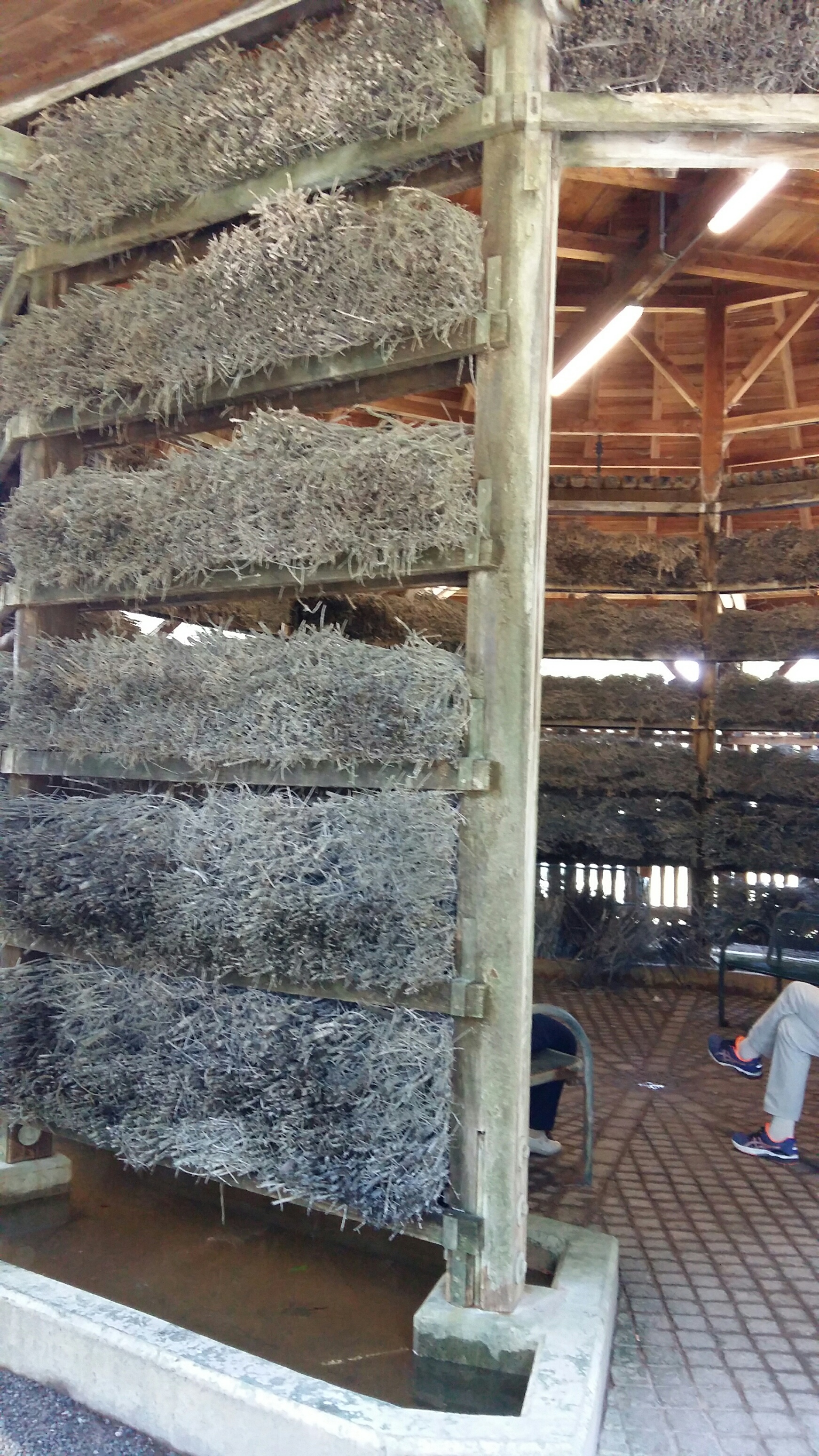 Notre patrimoine : la saline de Merzig - Radio Mélodie